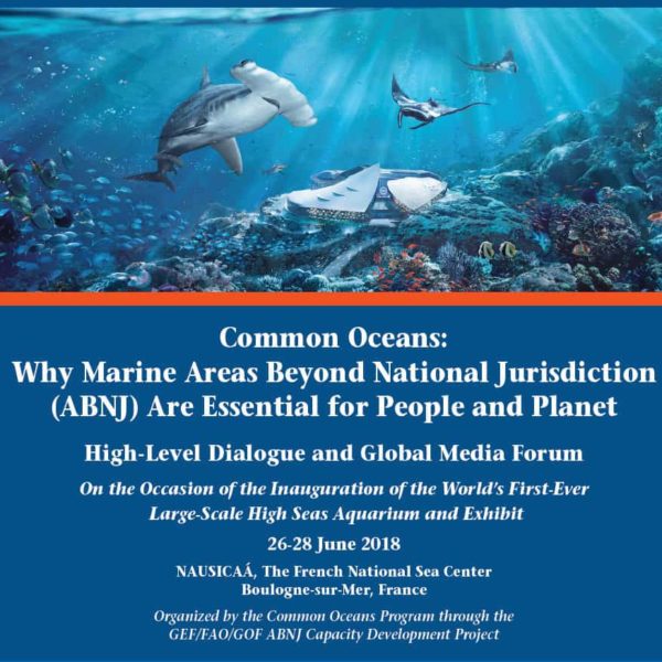 Humpback Whale migration on Google Earth's Voyager Story - Marine ...