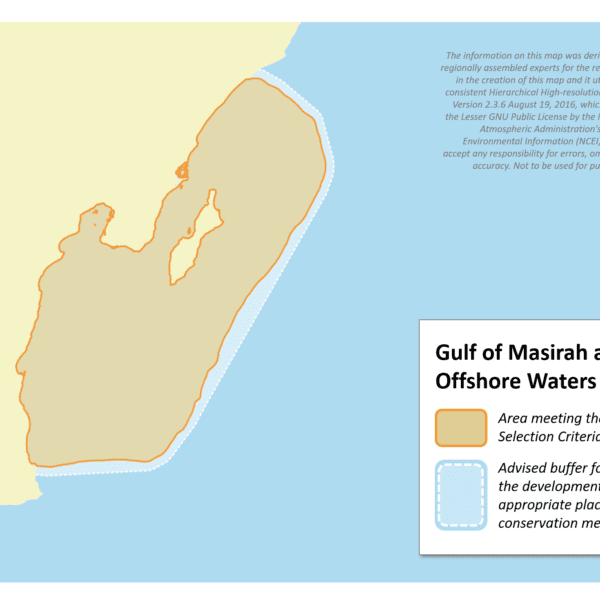 Gulf of Salwa IMMA - Marine Mammal Protected Areas Task Force