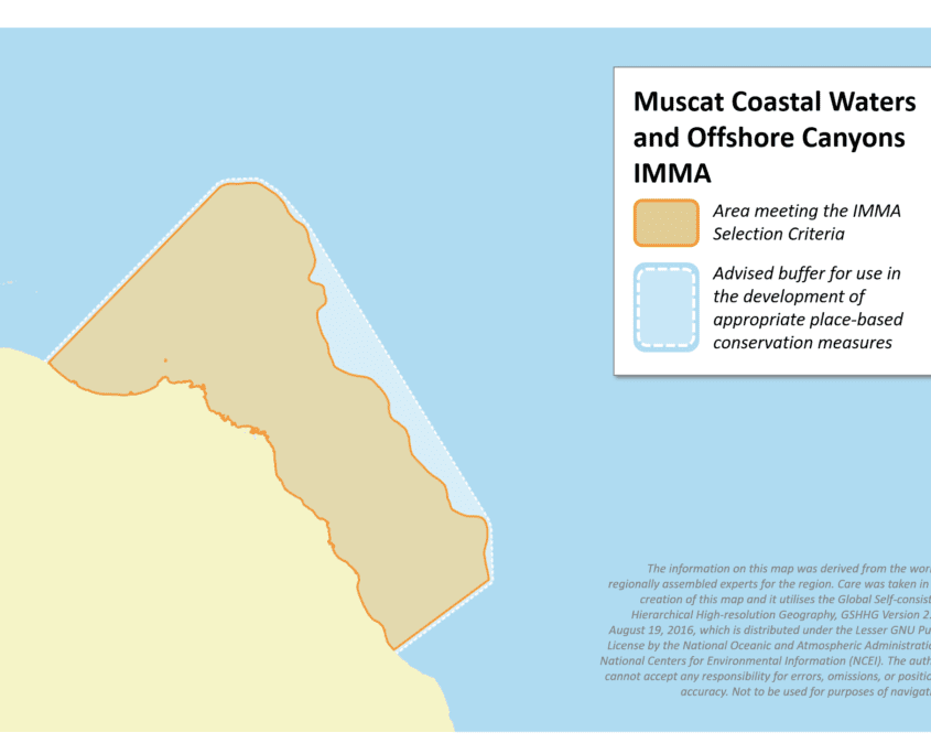 Western Indian Ocean and Arabian Seas Archives - Marine Mammal ...