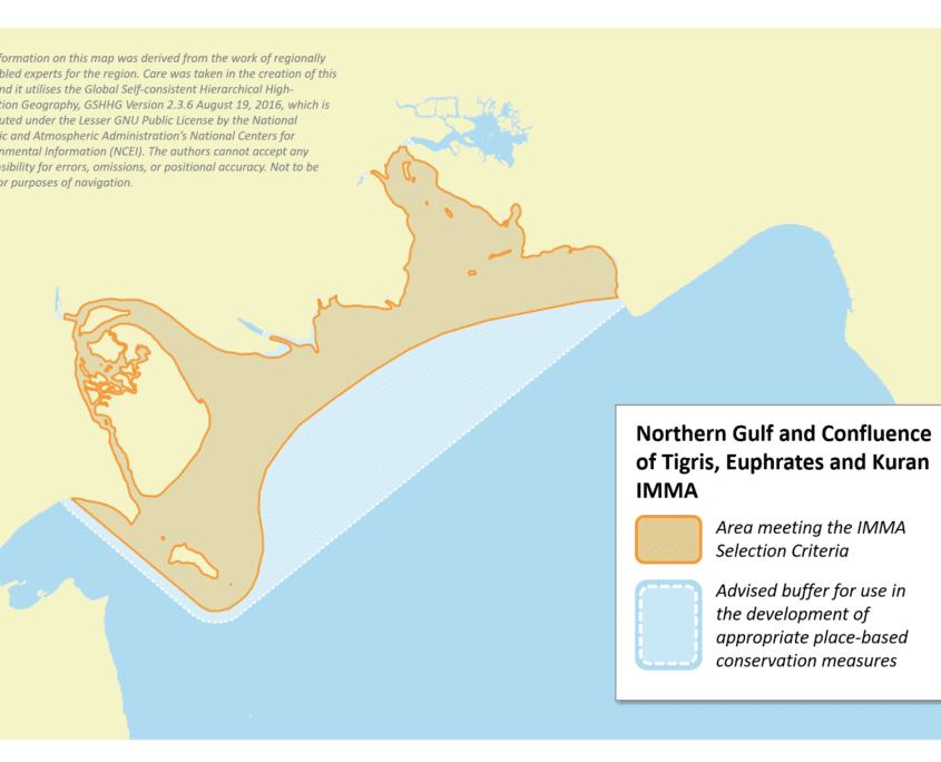Western Indian Ocean and Arabian Seas Archives - Marine Mammal ...