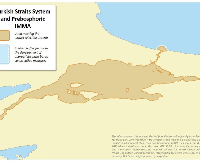 Black Sea, Turkish Straits System and Caspian Sea Archives - Marine ...