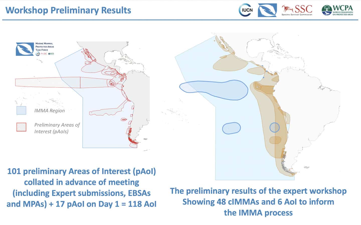 48 new candidate IMMAs announced for many species from otters to blue ...