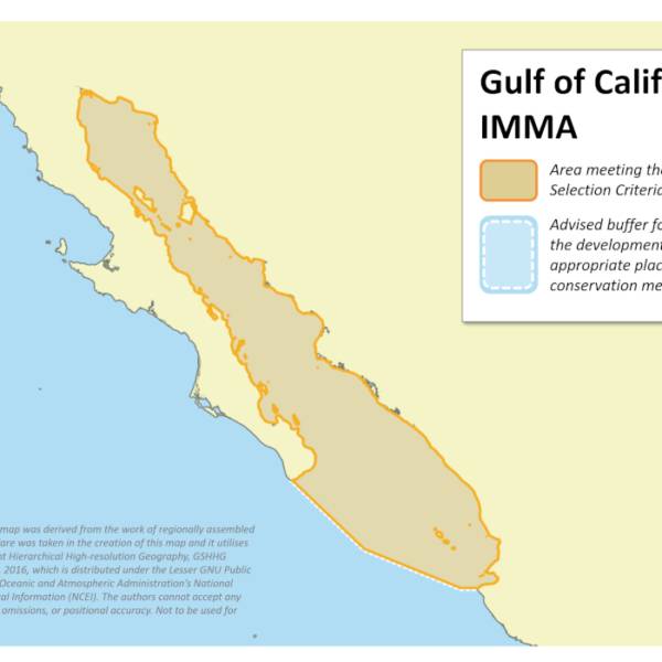Gulf of Arauco IMMA - Marine Mammal Protected Areas Task Force