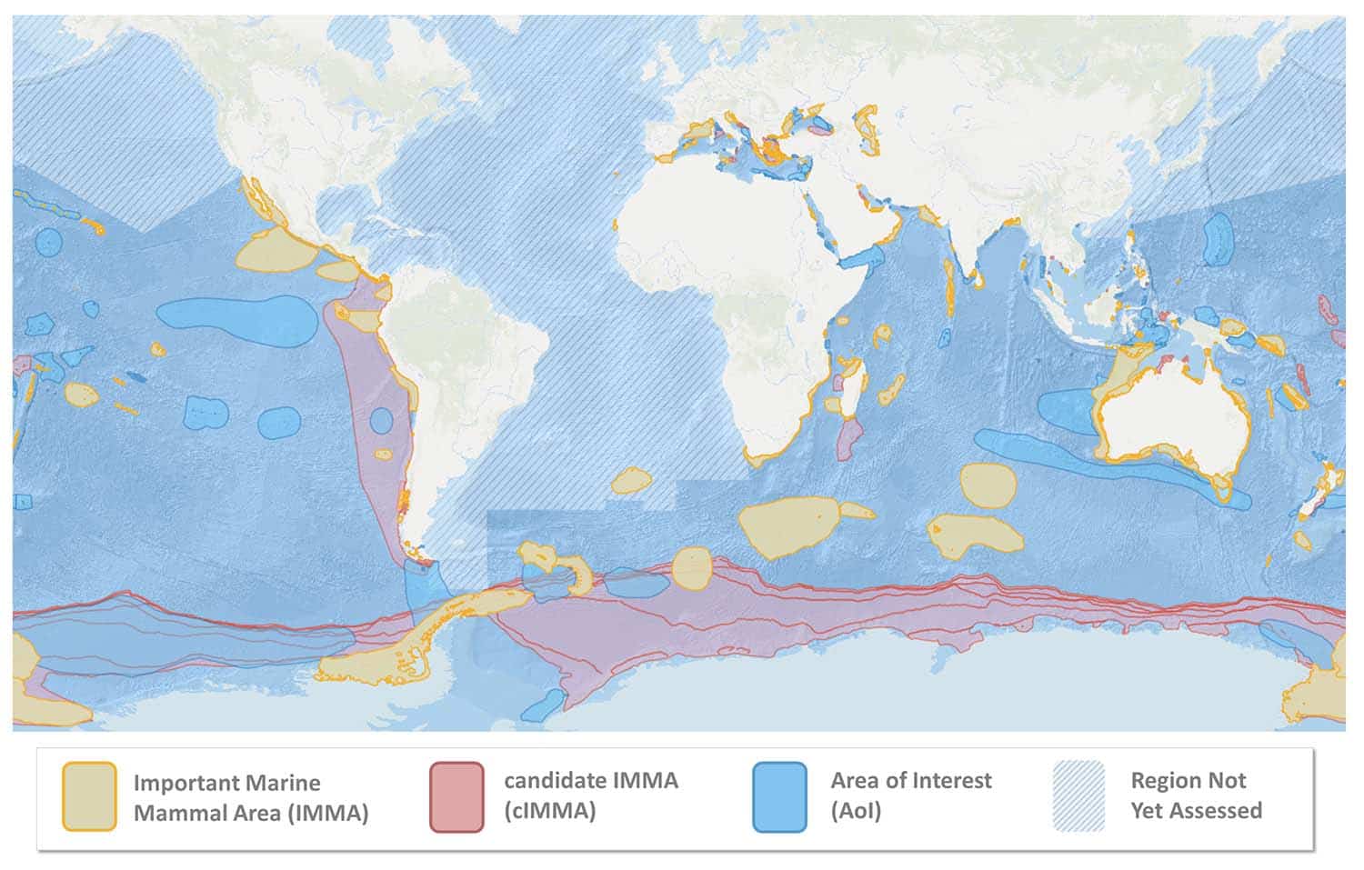 36 new Important Marine Mammal Areas (IMMAs) approved