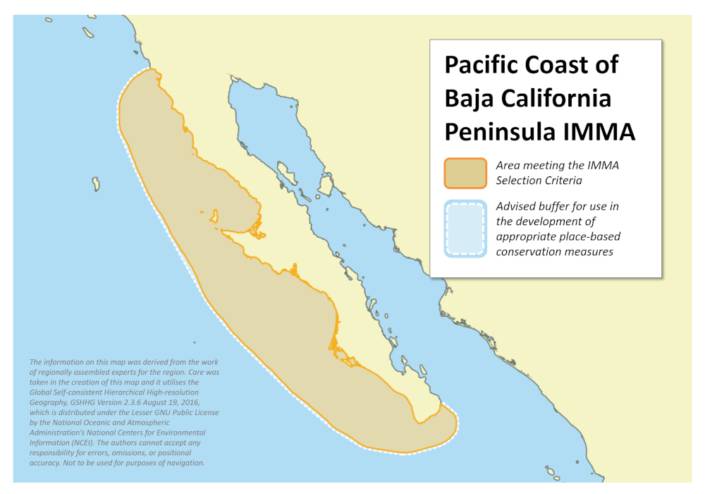 Pacific Coast of Baja California Peninsula IMMA - Marine Mammal ...