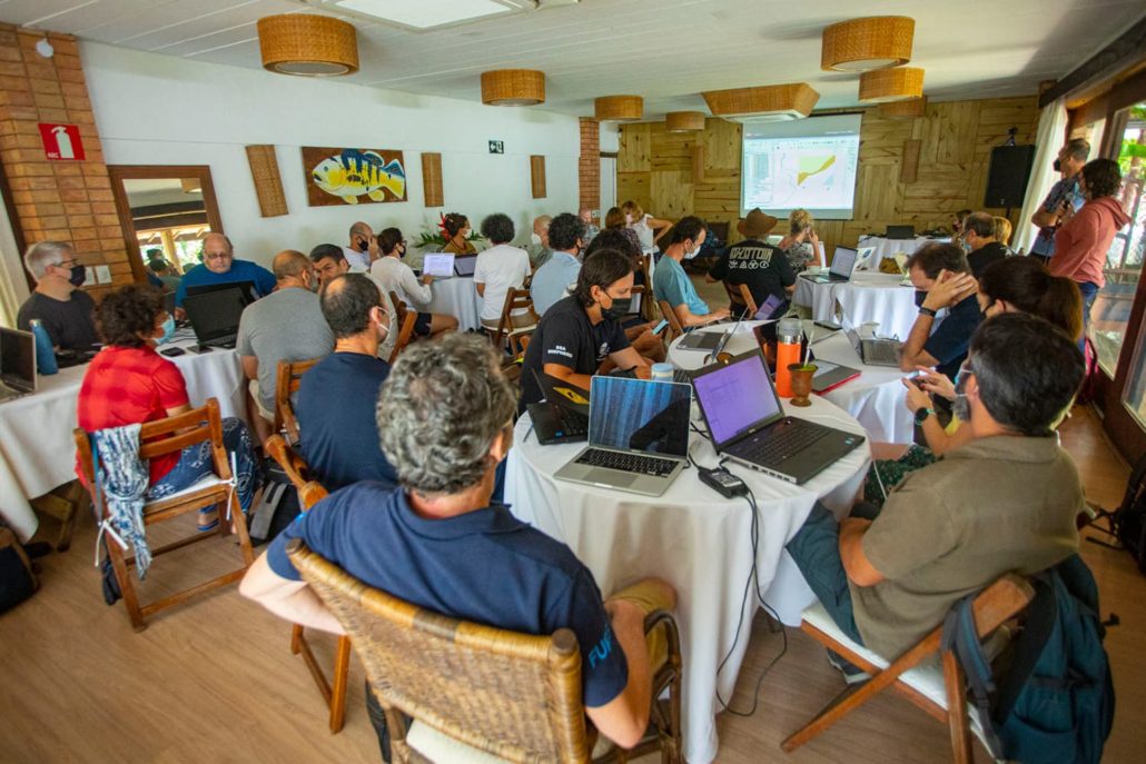 33 new Important Marine Mammal Areas (IMMAs) approved in an expanding portfolio of global ocean ...