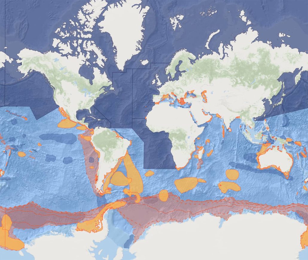 IMMAs Celebrated - yet now in danger