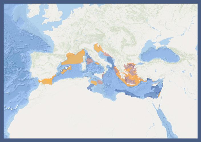 Mediterranean Sea - Marine Mammal Protected Areas Task Force