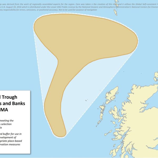 Minches and the Sea of the Hebrides IMMA - Marine Mammal Protected ...