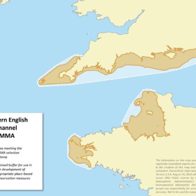 Central Irish Sea IMMA - Marine Mammal Protected Areas Task Force
