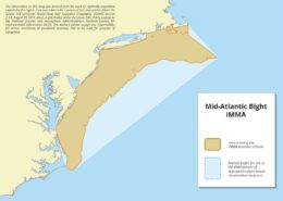 Mid-Atlantic Bight IMMA - Marine Mammal Protected Areas Task Force
