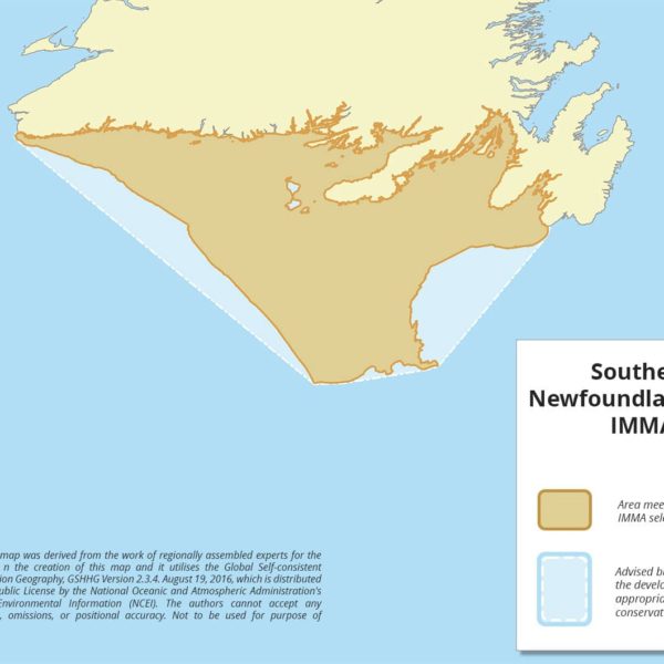 North Atlantic Humpback Whale Migratory Corridor IMMA - Marine Mammal ...