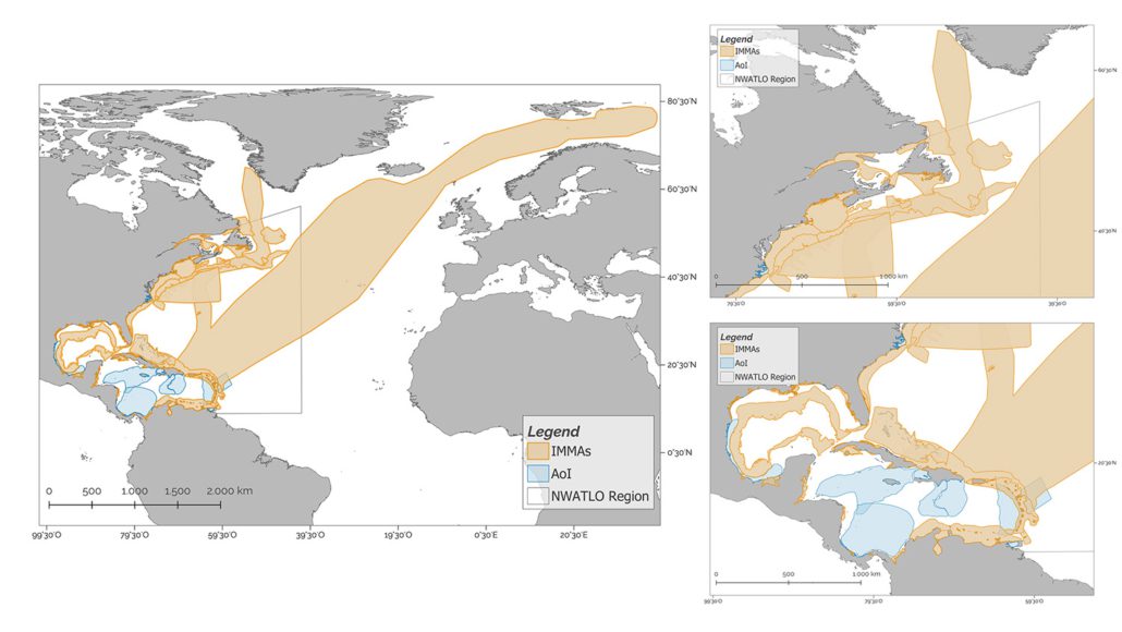 New Important Marine Mammal Areas (IMMAs) spotlight whale habitats ...