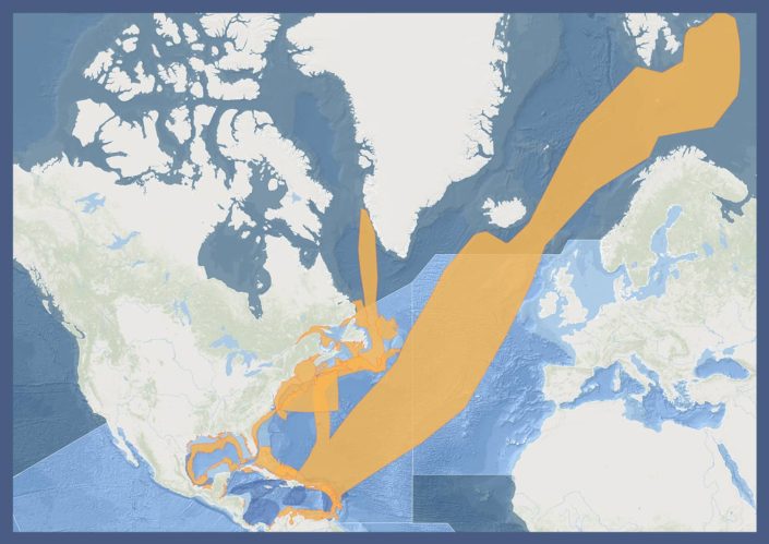 North West Atlantic Ocean and Wider Caribbean - Marine Mammal Protected ...